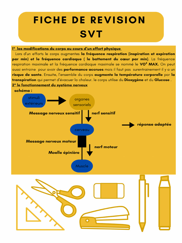 Fiche de Revision SVT | PDF
