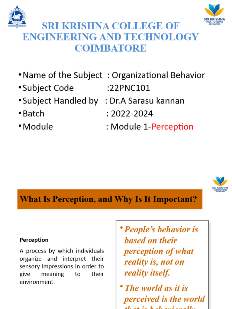 1.4 - Perception | PDF | Decision Making | Bias