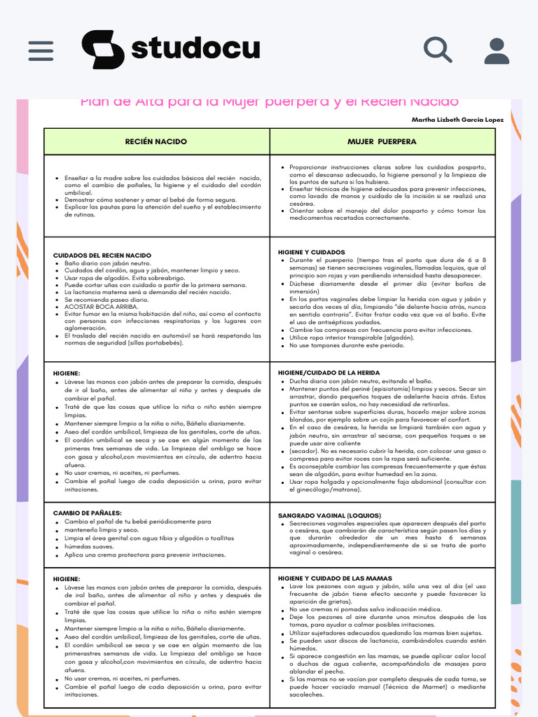 Plan de Alta para La Mujer Puerpera y El Recién Nacido-MLGL - RECIÉN ...
