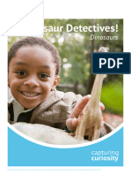 IEYC: Play-Based Curriculum Overview | PDF | Learning | Curiosity