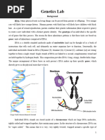 Pigeonetics Game Teacher Guide | PDF | Dominance (Genetics) | Allele
