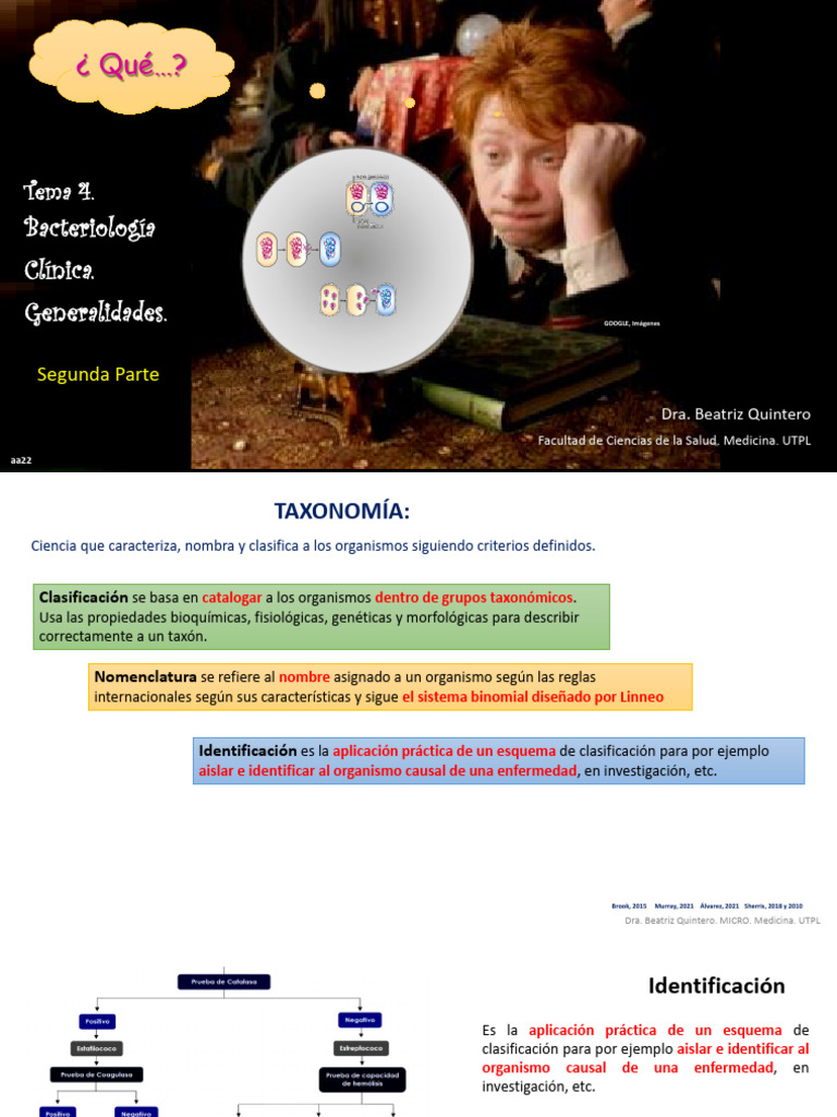 Clase MICRO UTPl 4 Bacteriologia. Generalidades 2o Parte Aa22 PDF | PDF | Bacteriófago ...