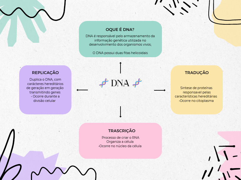 Mapa Mental DNA? | PDF