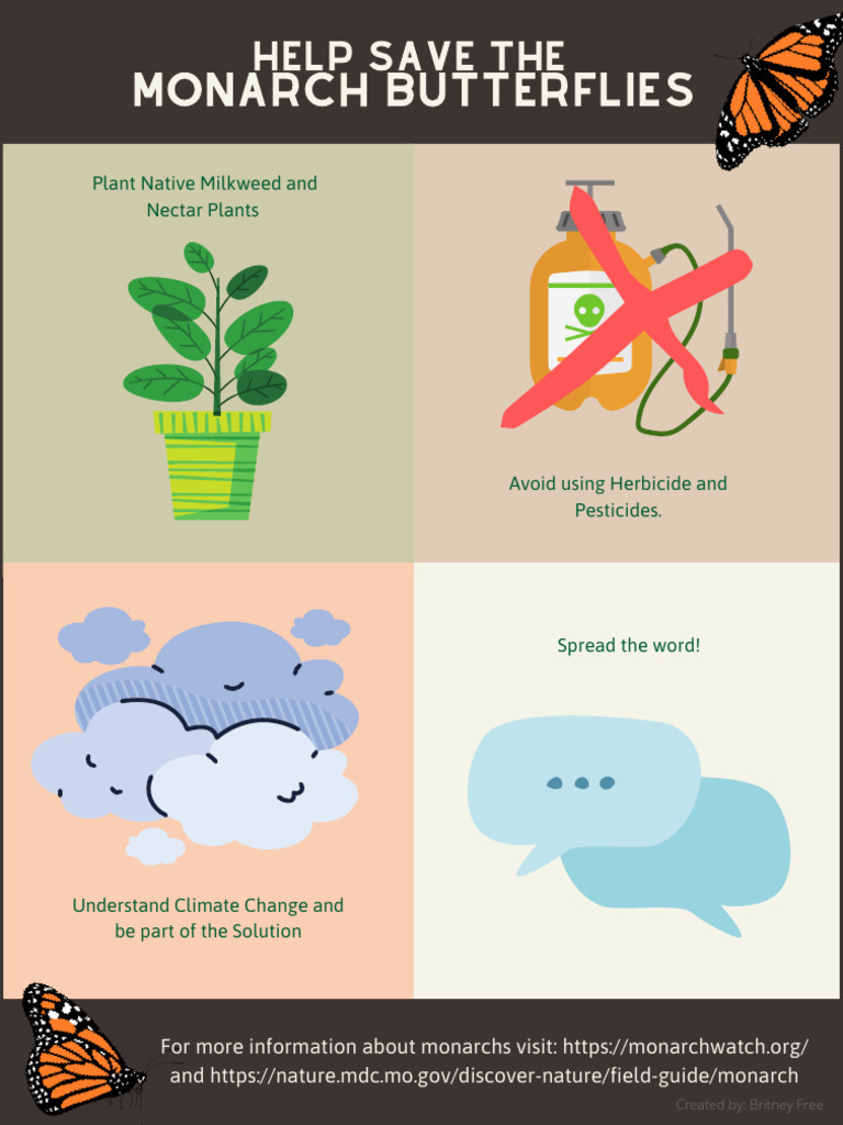 Free Monarch Poster | PDF