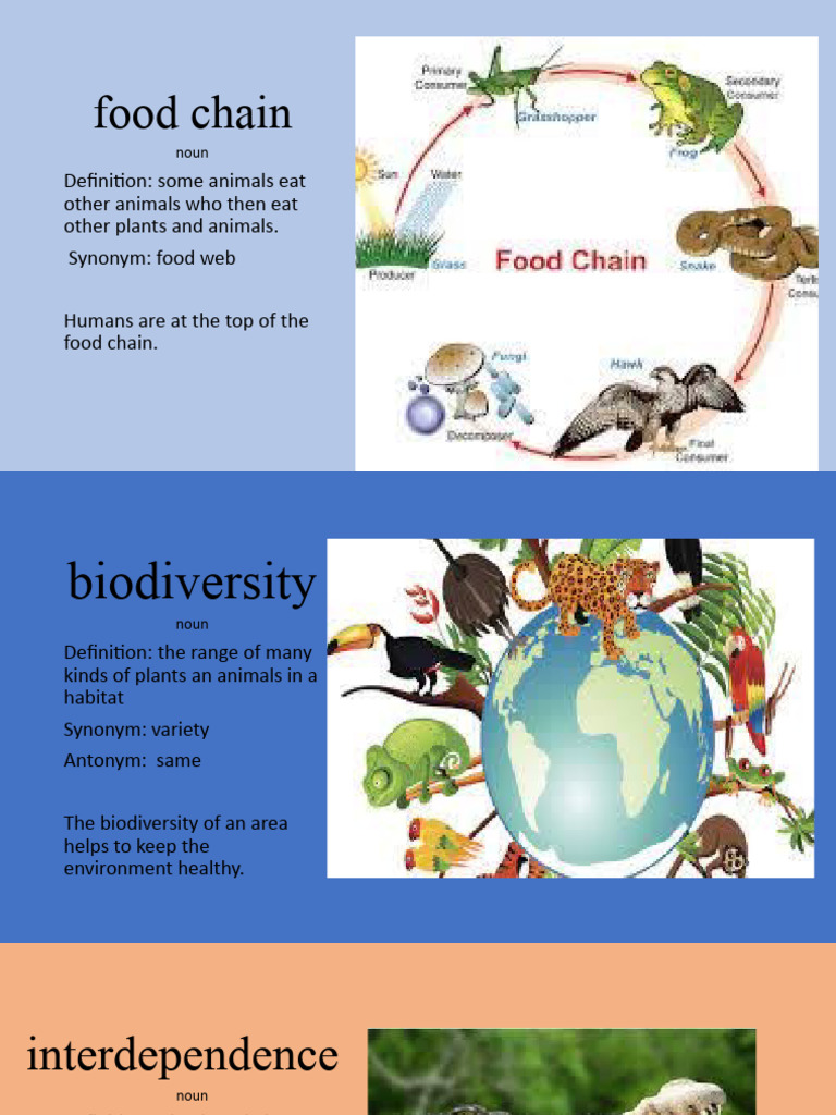 Unit 2 Week 5 Nature's Patchwork Quilt | PDF | Foreign Language Studies ...