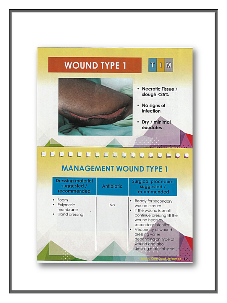 Wound Type | PDF