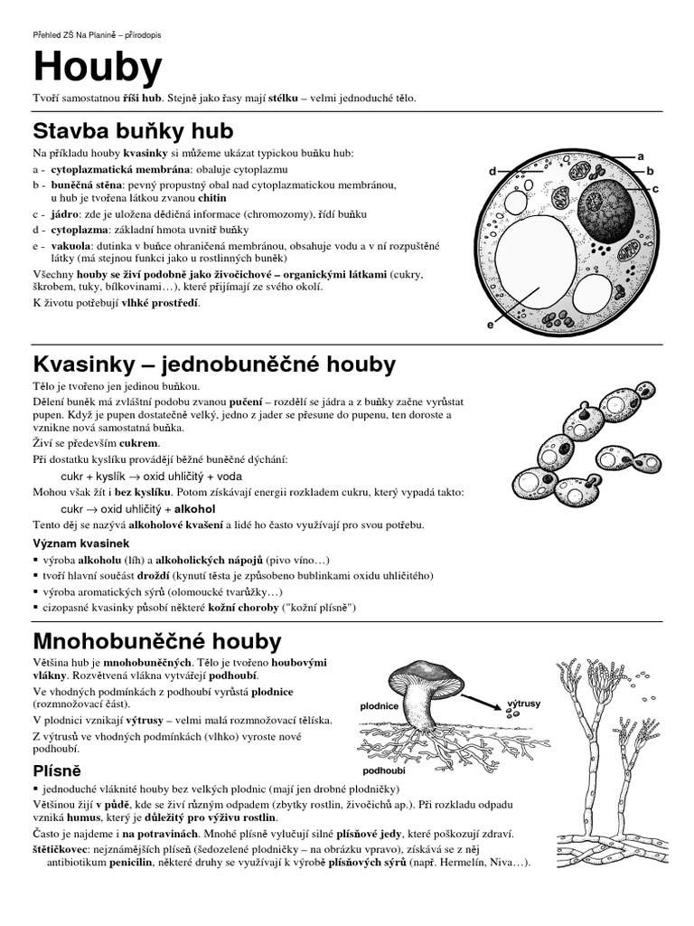 Huby | PDF