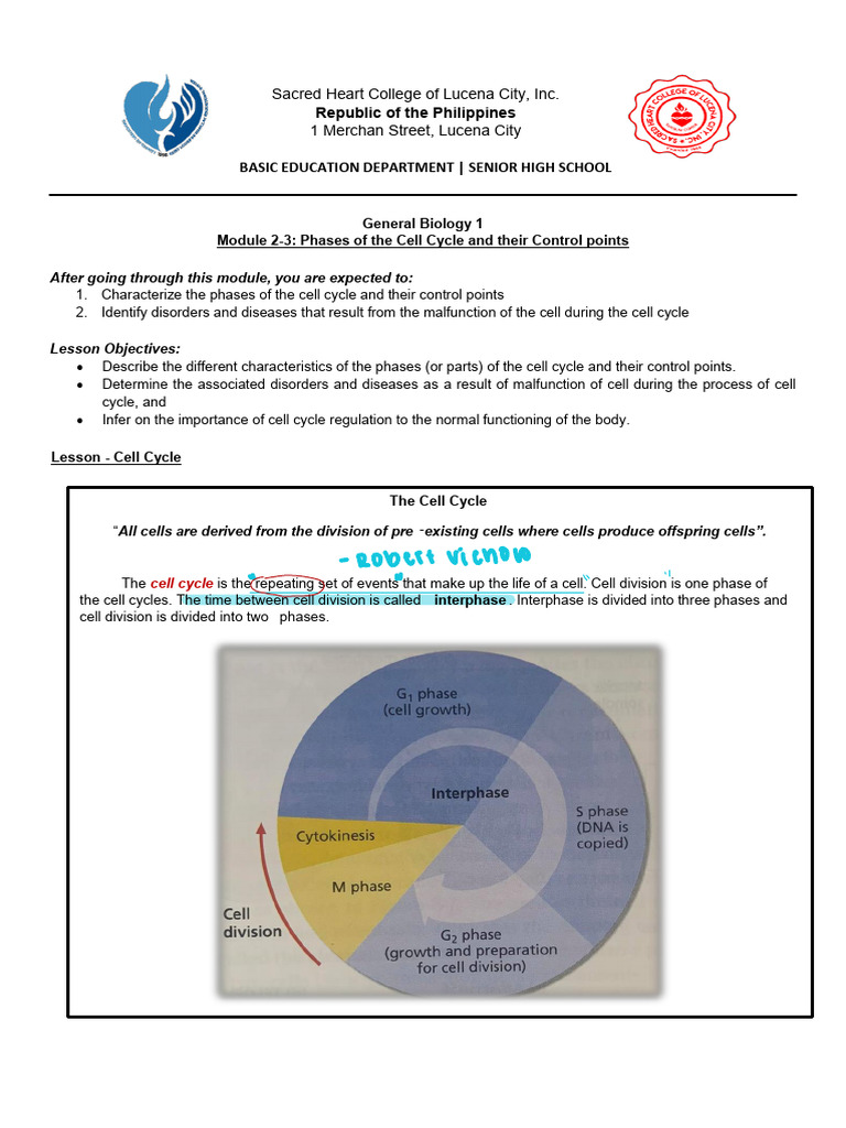 Cell Cycle Phases and Disorders | PDF | Meiosis | Mitosis