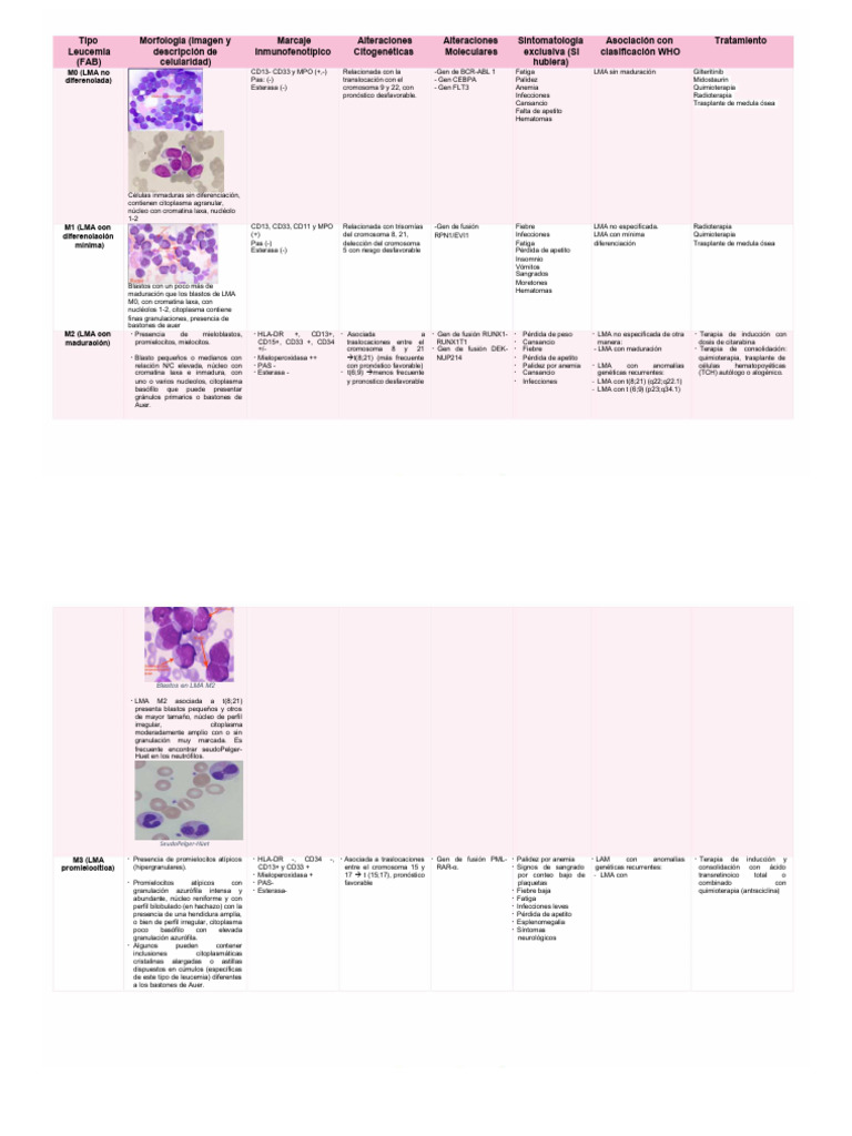 Cuadro Leucemia Mieloide Aguda Fab y Who - Compress | PDF | Biología ...