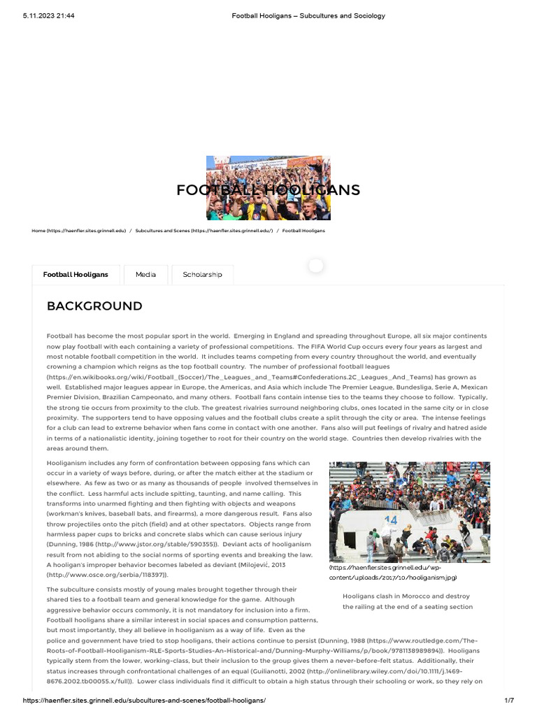 Football Hooligans - Subcultures and Sociology | PDF | Masculinity | Riot