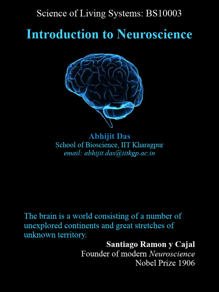 BS10003 Lecture7 Neurobiology | PDF | Chemical Synapse | Neurotransmitter