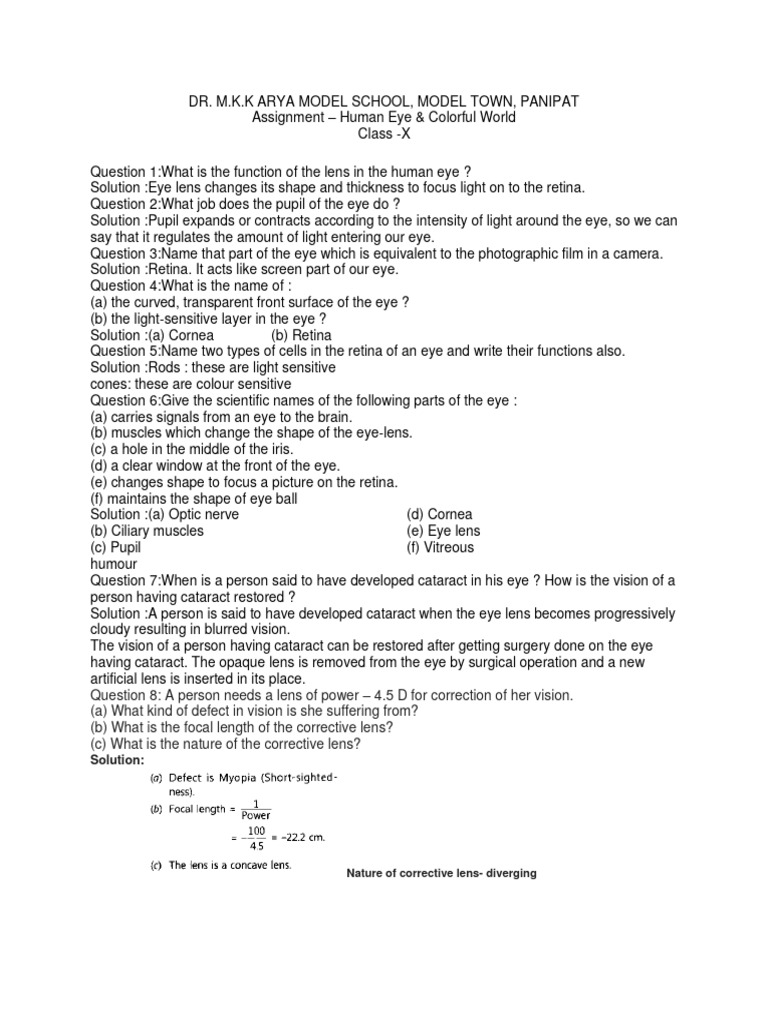 Human Eye Assignment Pdf Eye Rainbow