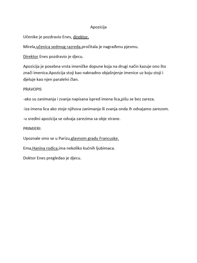 Apozicija | PDF