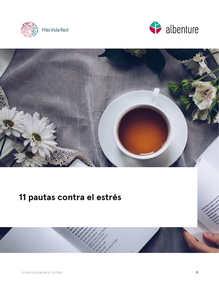 Pautas Contra El Estres | PDF