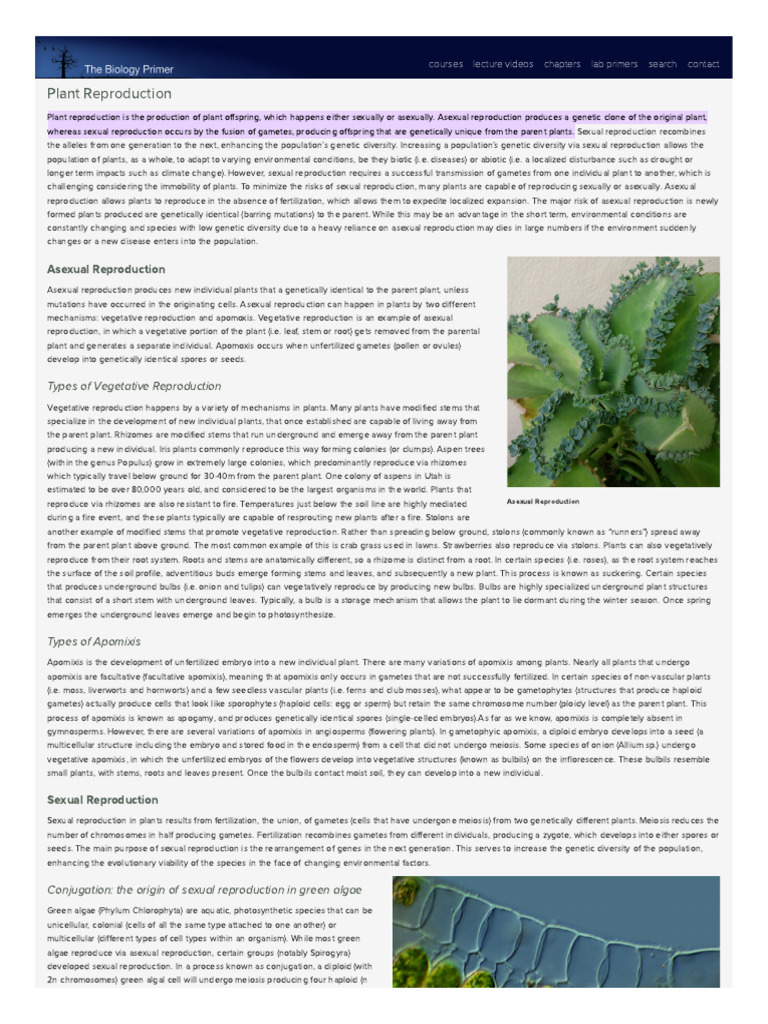Thebiologyprimer Com Plant Reproduction - Text Plant 20reproduction ...