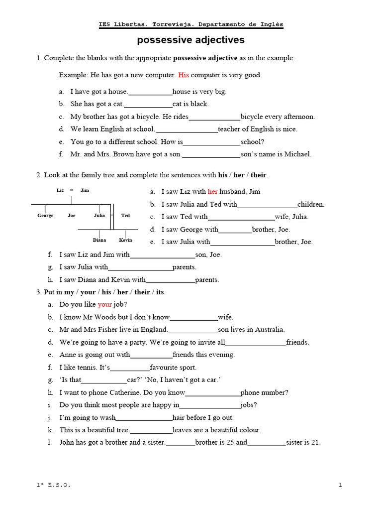 Possessive Adjectives Exercises | PDF