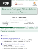 Eservices TGR | PDF