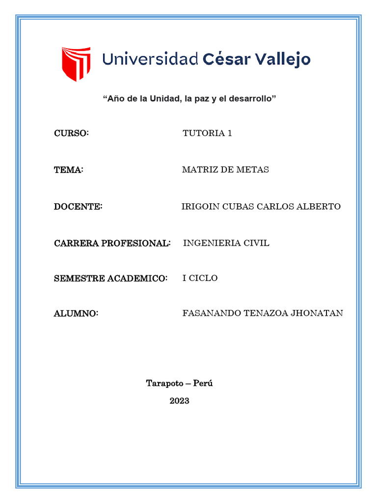Matriz de Metas, Objetivos, Estrategias y Actividades | PDF