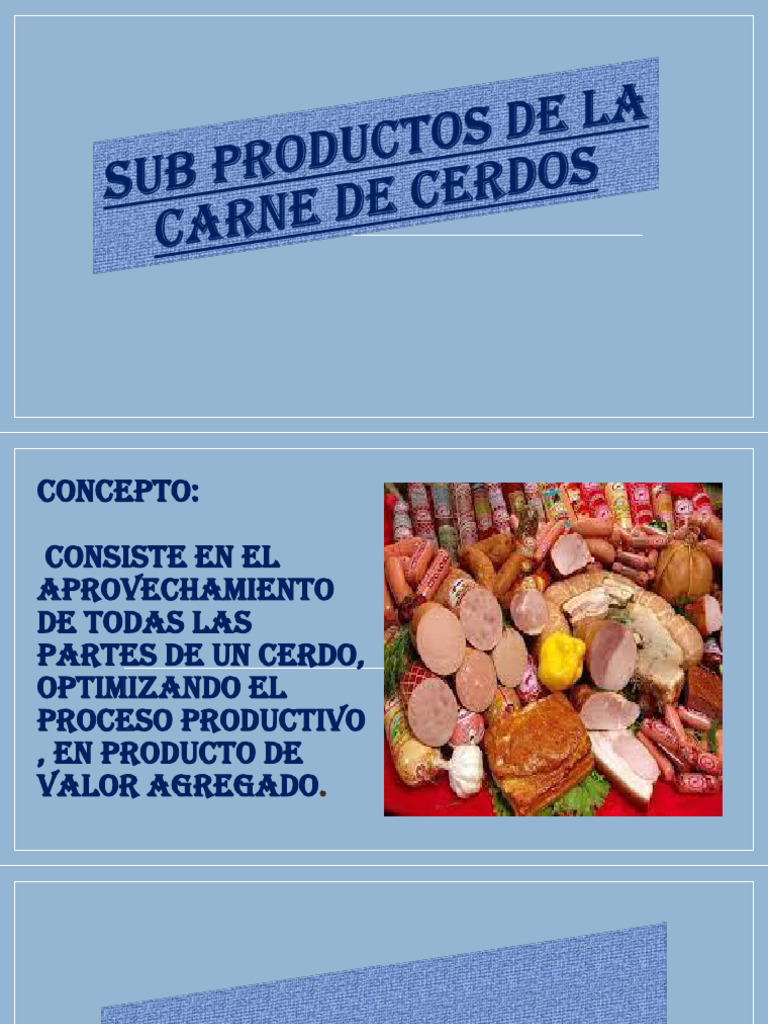 Carne de Cerdo | PDF | Carne | Cerdo