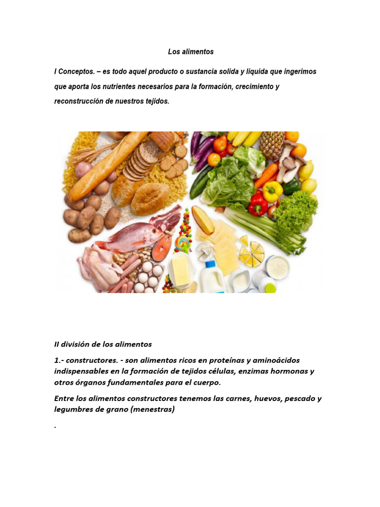 Clasificación y funciones de los alimentos | PDF