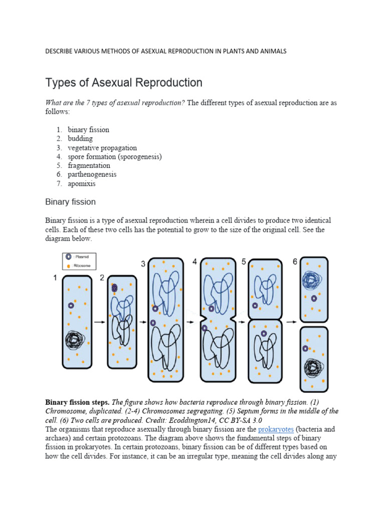 S.A. U2 - 2. Describe Various Methods of Asexual Reproduction in Plants and Animals | PDF ...