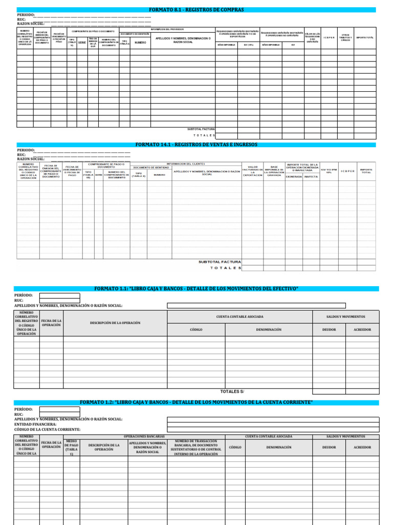 Formatos 2024 | PDF | Contabilidad | Compartir (Finanzas)