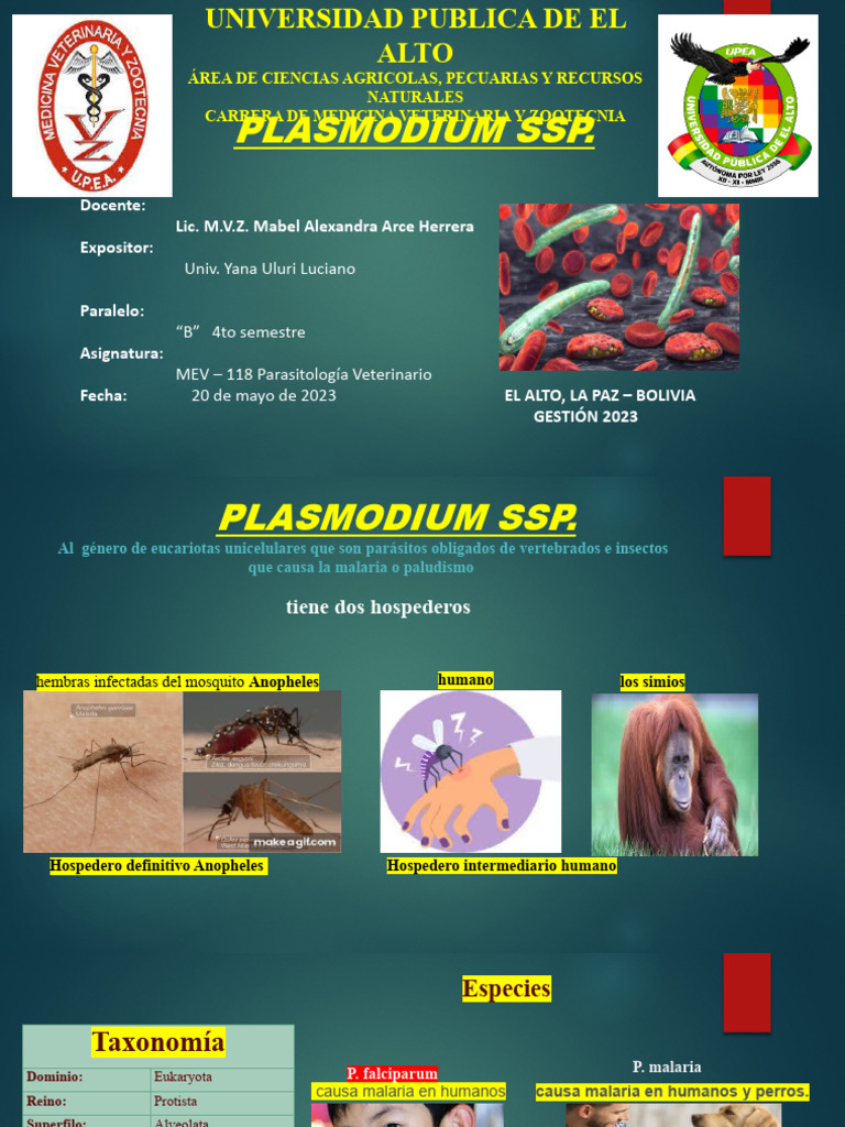 Plasmodium spp.: Parásitos y Malaria | PDF | Plasmodium | Malaria