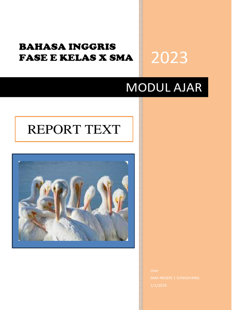 Modul Ajar B.ing Report Text Berdiferensiasi | PDF