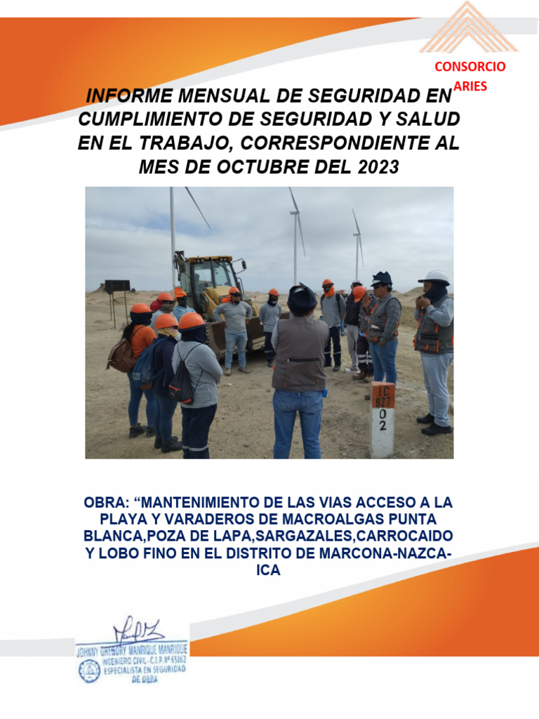 Informe de Seguridad Del 18 Octubre A 31 Octubre (Marcona) | Descargar gratis PDF | Seguridad y ...