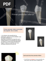 Segundo Molar Inferior | PDF | Ramas de Odontología | Boca