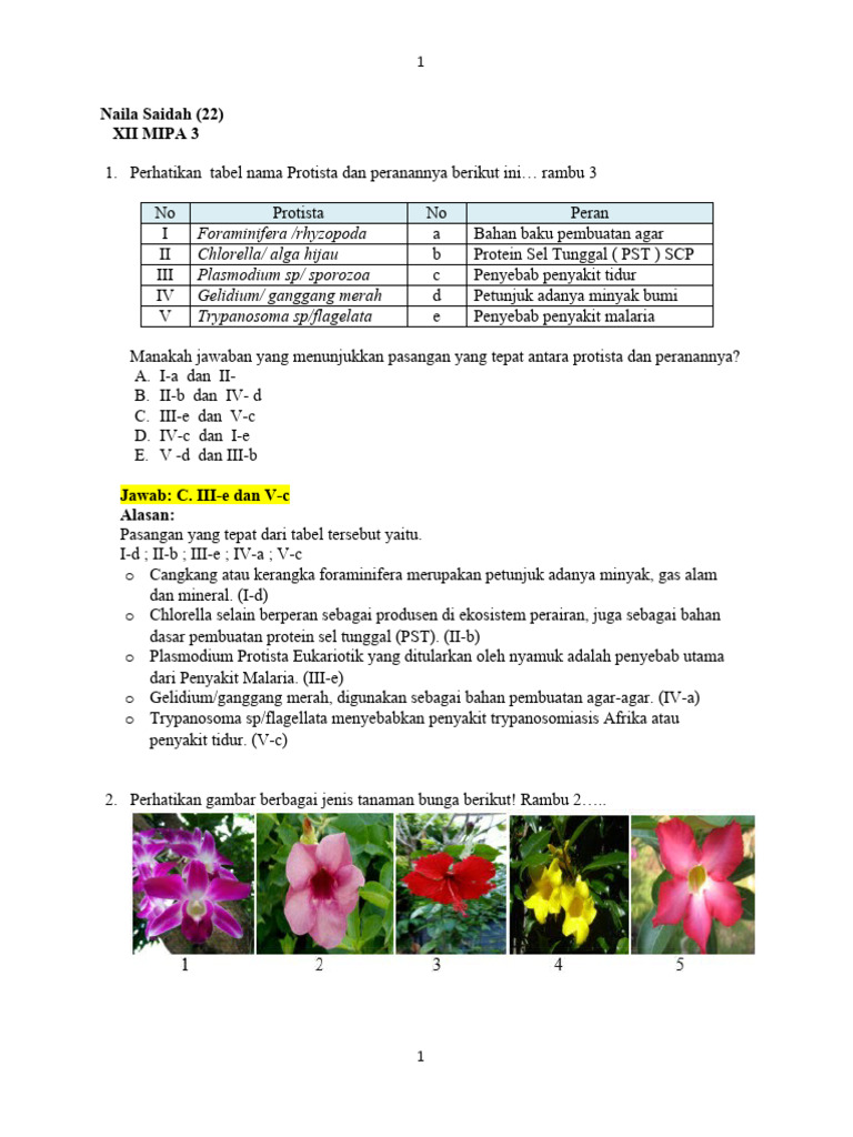 Soal Latihan BIOLOGI 21 | PDF