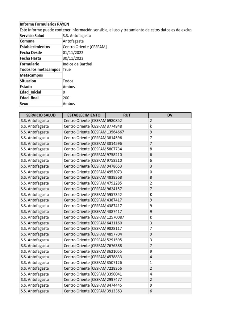 Informe Formularios RAYEN | PDF