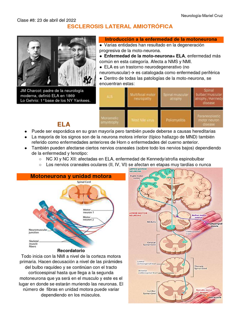 Esclerosis Lateral Amiotrófica: Aspectos Clave | PDF | Neurona motora ...