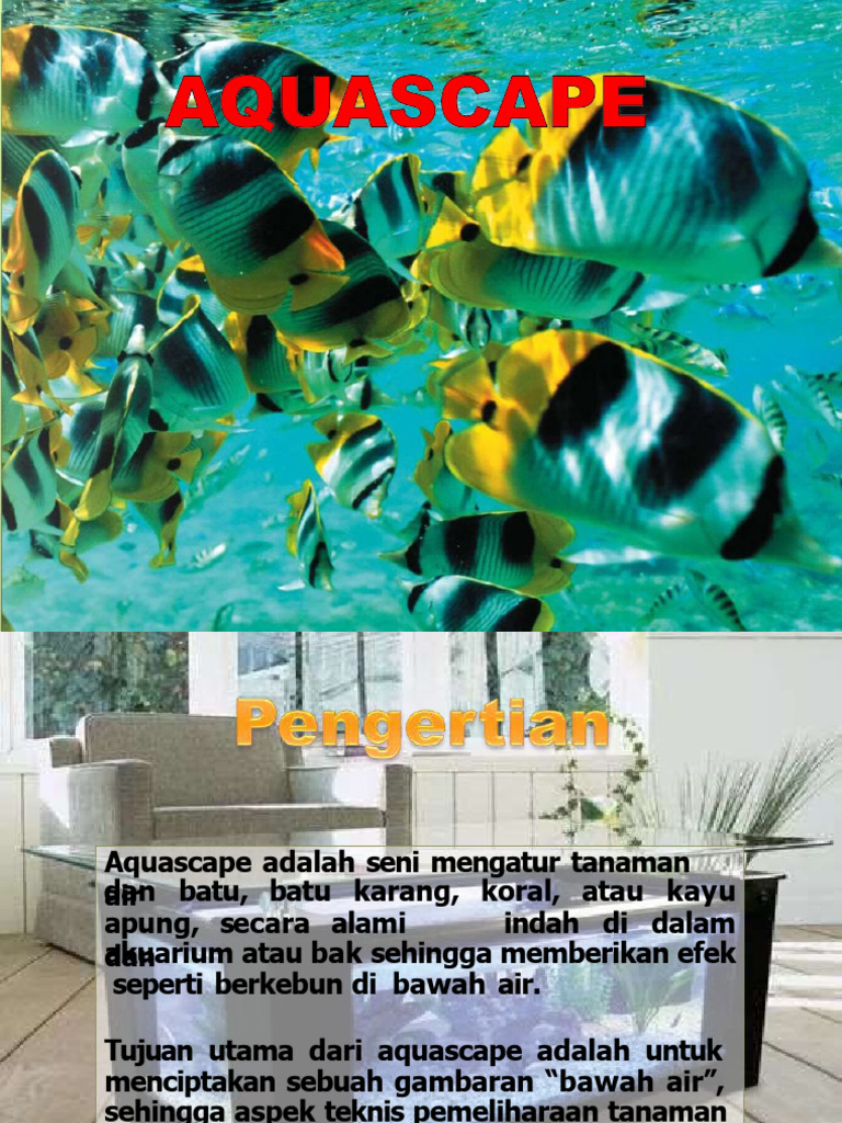 Aquascape 160420154551 | PDF