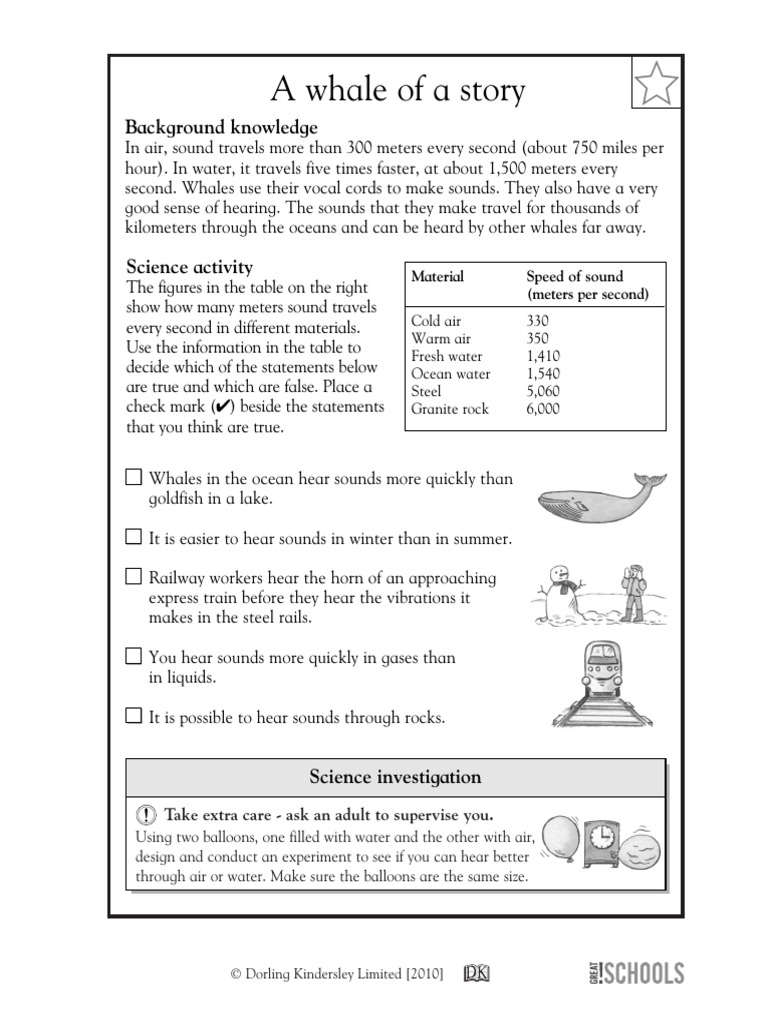 Whale | PDF | Sound | Water