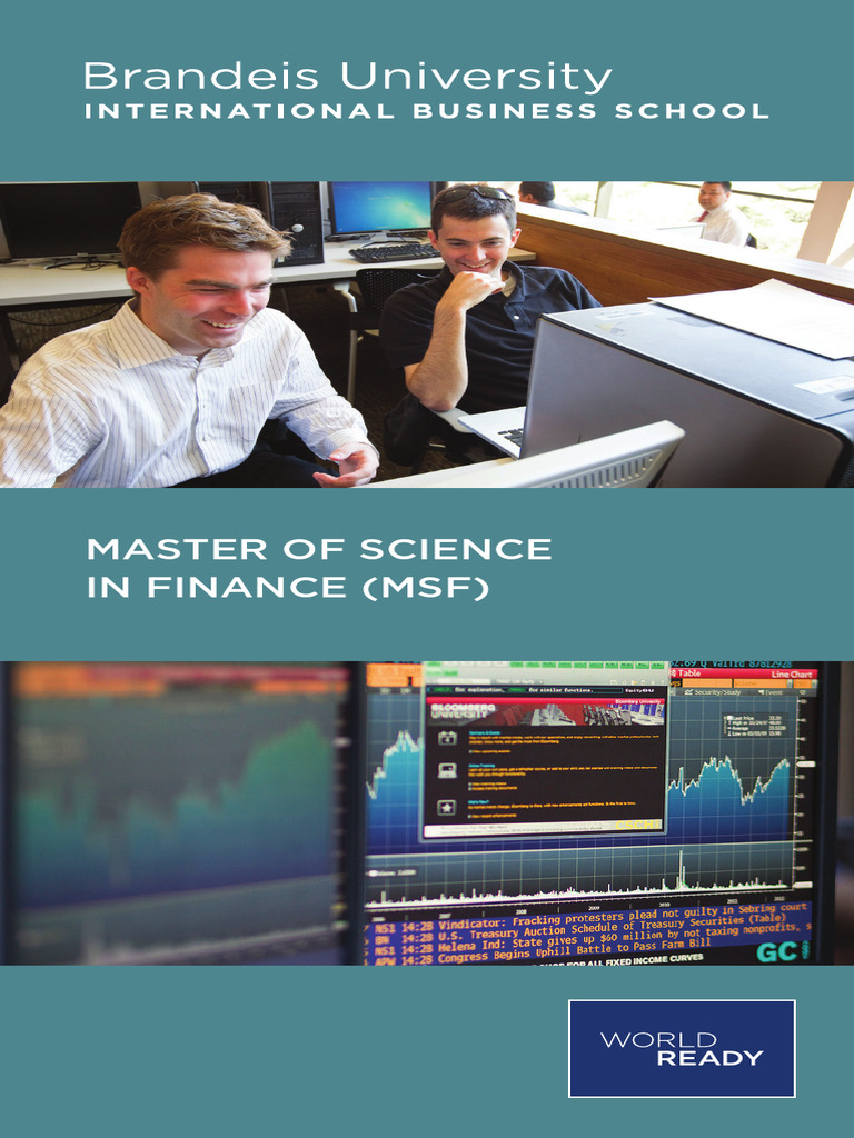 MSF Program Brochure | PDF | Financial Analyst | Investment Banking