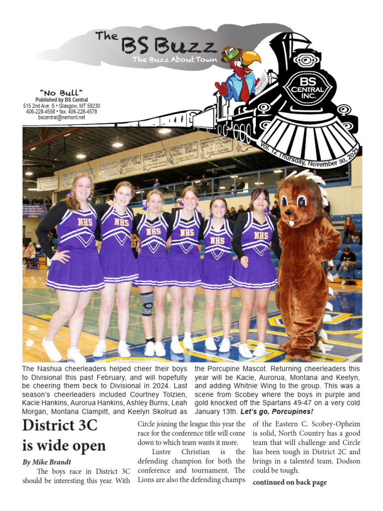 BS Buzz | PDF | Taxes | Beef