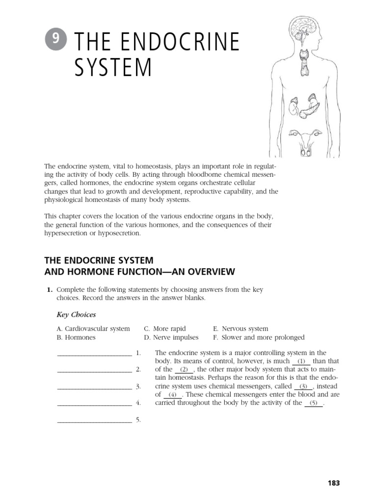 Endocrine System | PDF | Endocrine System | Hormone