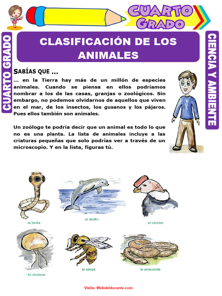 Clasificación De Los Animales Pdf Piel Esqueleto