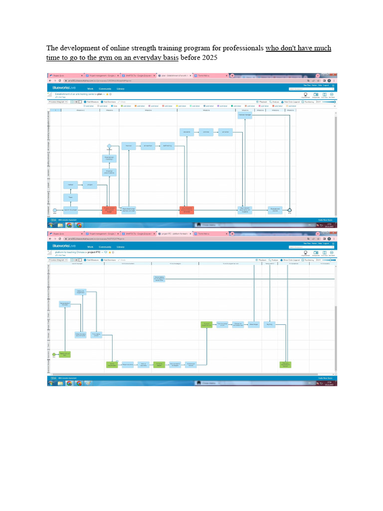 Project Management IBM | PDF