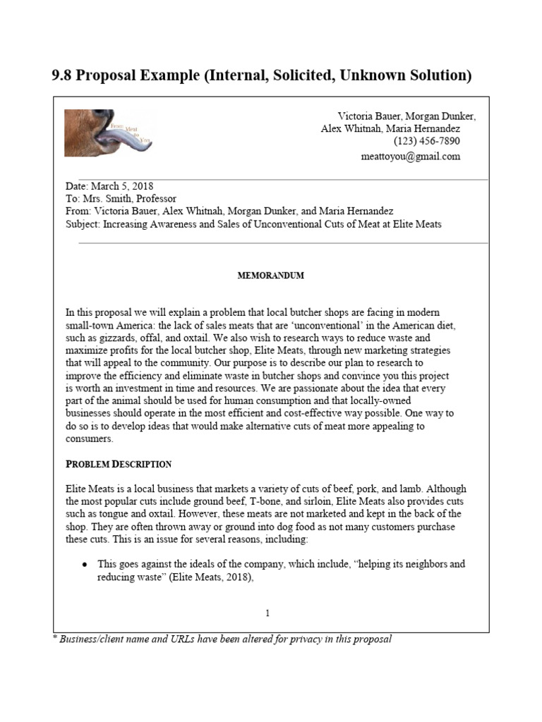 Internal Solicited Proposal | PDF | Meat | Marketing