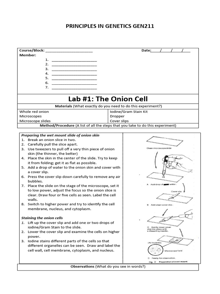 Genetics Laboratory 1 and 2 | PDF | Staining | Cell (Biology)