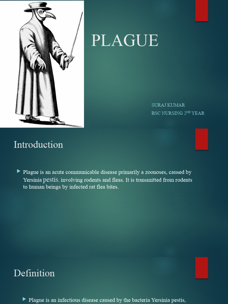 Plague | PDF | Black Death | Public Health