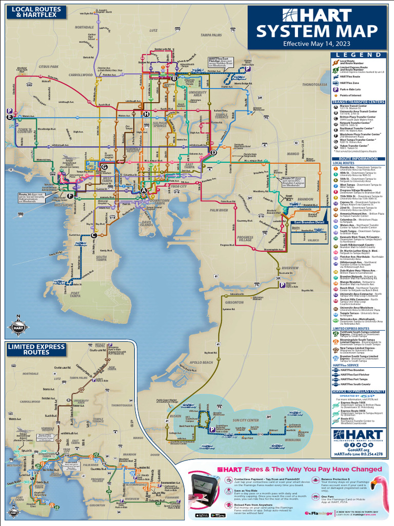 Mapa Buses Tampa | PDF