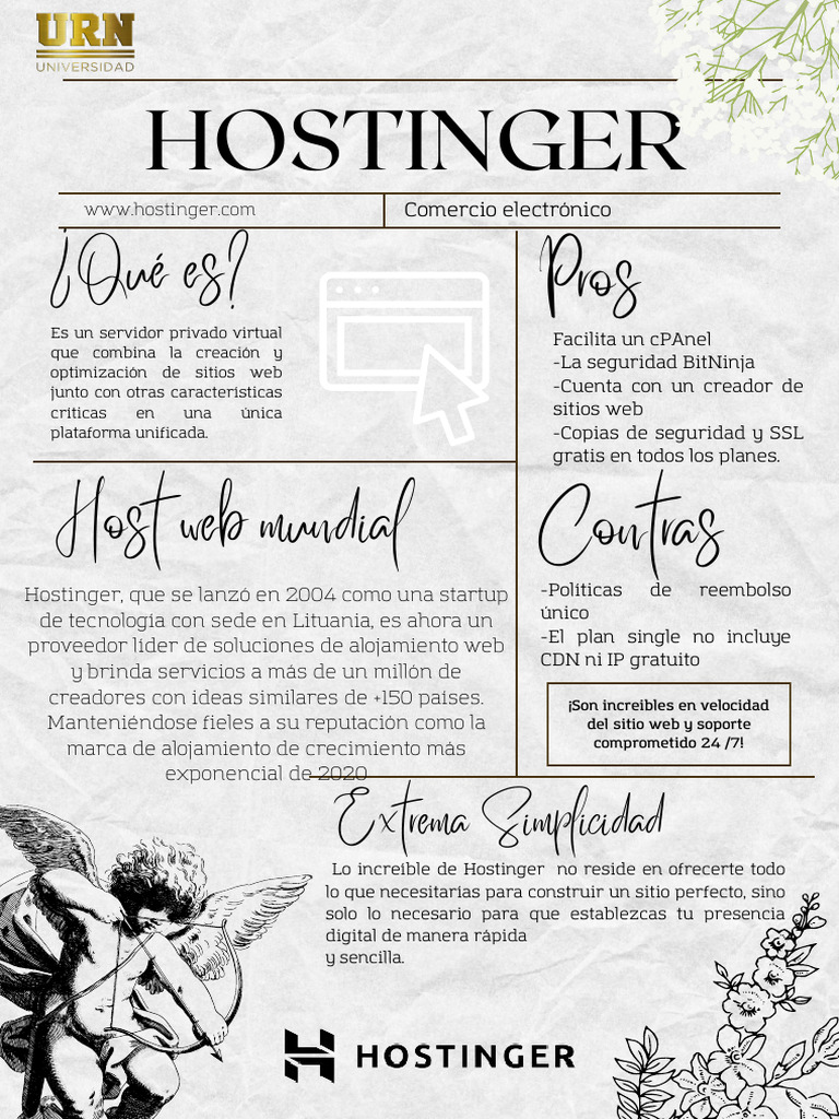 Hostinger | PDF