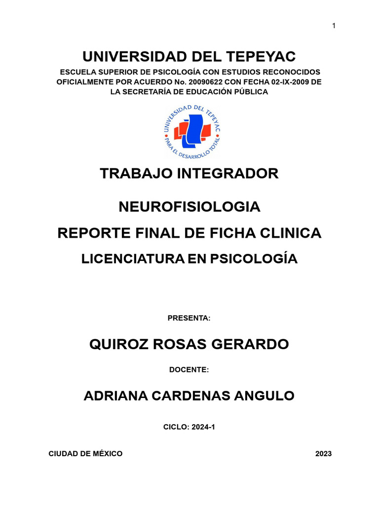Documento Sima Final Neurof | PDF | Aprendizaje | Comunicación