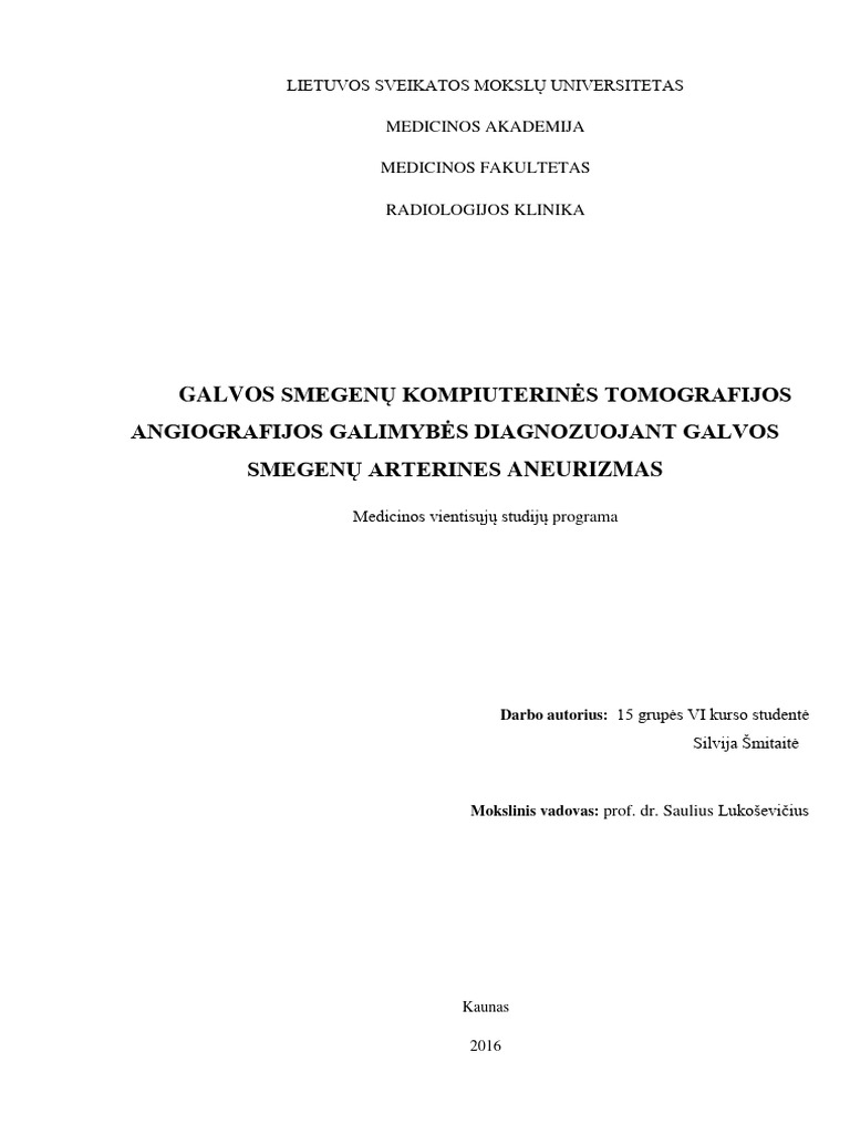 Baigiamasis Darbas | PDF