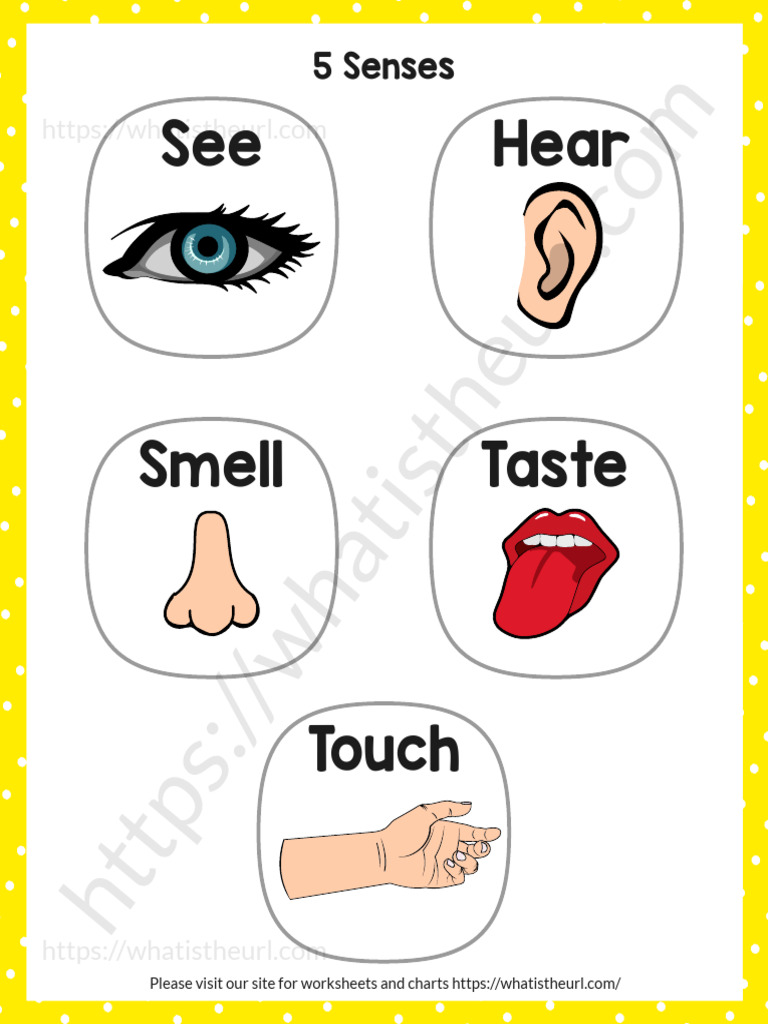 Five Senses Chart Printable PDF | PDF