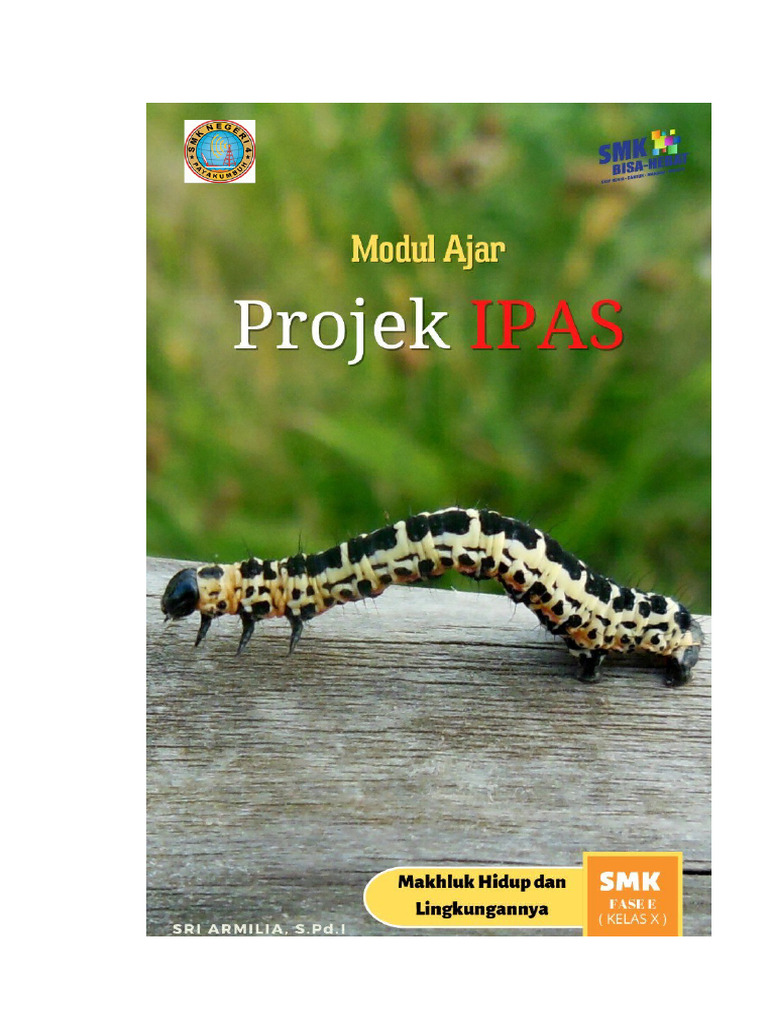 Modul Ajar Projek Ipas | PDF | Sains & Matematika