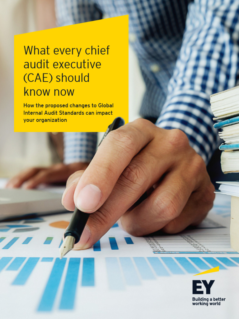 Key Insights for Chief Audit Executives | PDF | Internal Audit | Audit